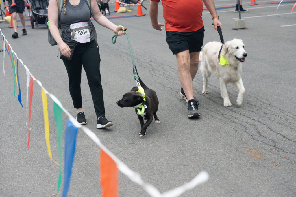 Sunnyview in Motion 5K – Sunnyview Rehabilitation Hospital